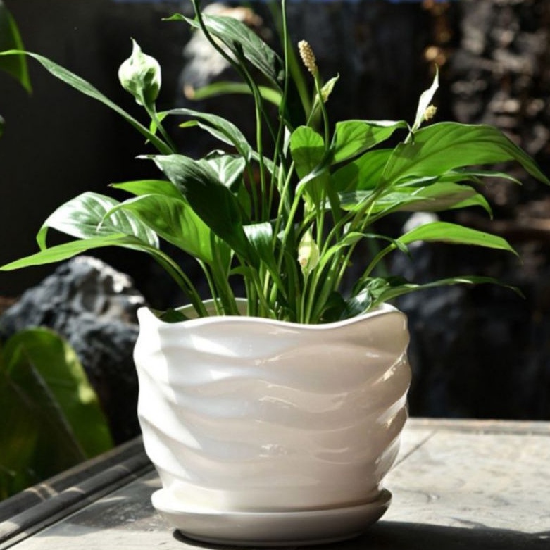 14cm Ceramic Flower Vase / Pasu Seramik / White Planter Pot / Pasu ...