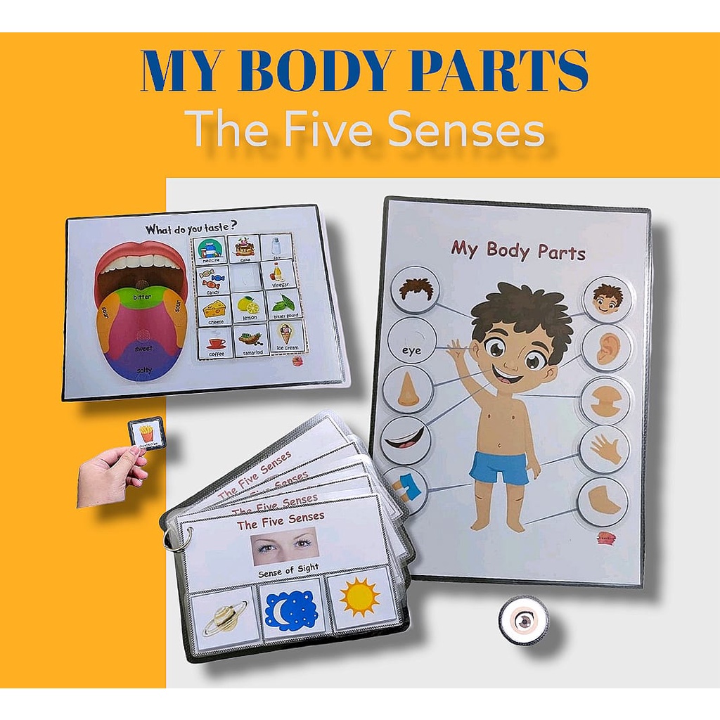 My Senses & Body Parts Busy Book | Velcro Matching Game | Montessori ...