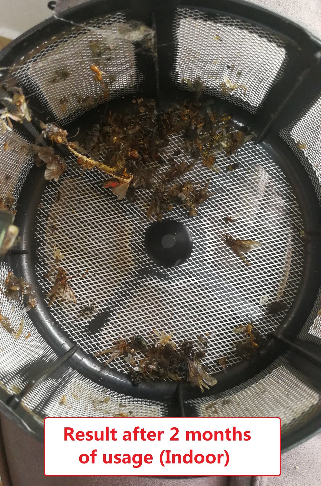 Selamat UV Light Mosquito Killer/Mosquito Trapper [SIRIM Approved ...