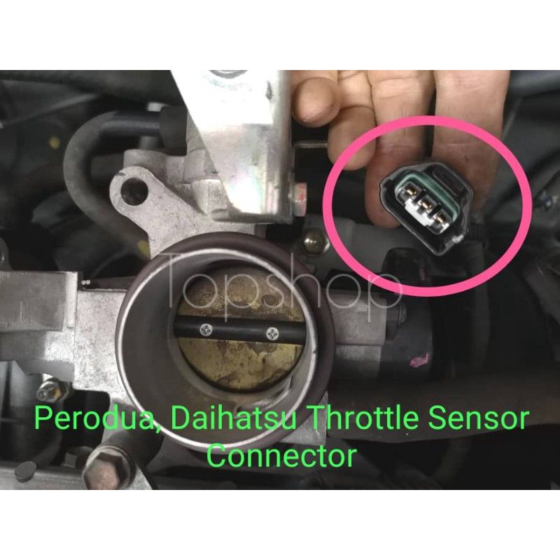 Perodua Myvi/ Viva Throttle Sensor Socket Connector 3 PIN | Shopee Malaysia
