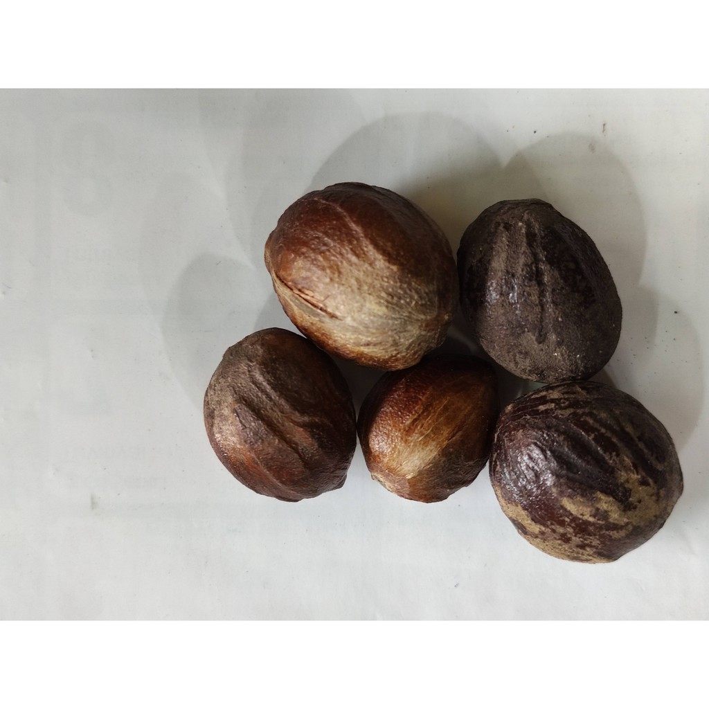 Nutmeg seeds//Biji buah pala herba rempah cheap murah ready stock in ...