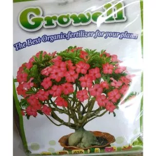 Buy bunga baja Online With Best Price, May 2024 | Shopee Malaysia