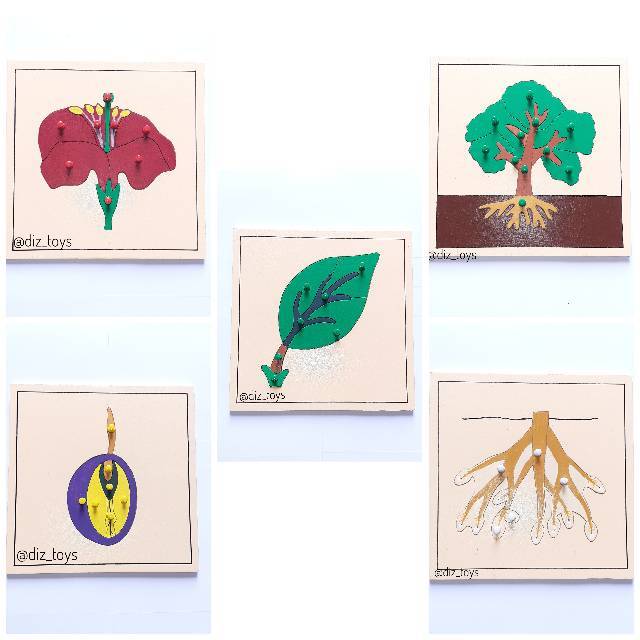Botany Montessori Puzzle | Shopee Malaysia