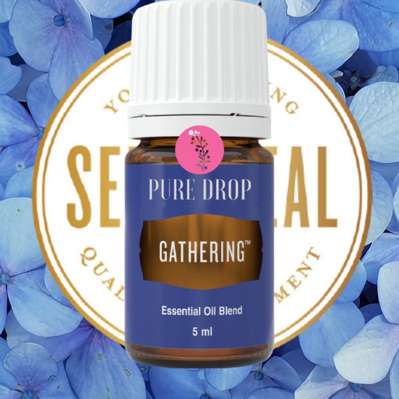 Ypung Living Gathering Essential Oil Blends 5ml | Shopee Malaysia