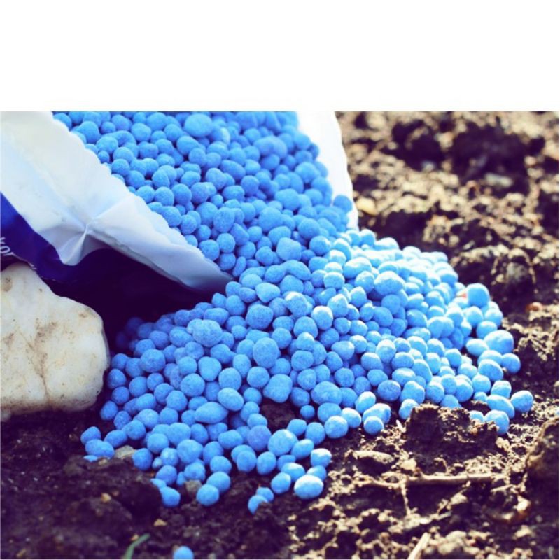 Baja Biru Penggalak Pokok Cepat Berbuah (500g) | Shopee Malaysia