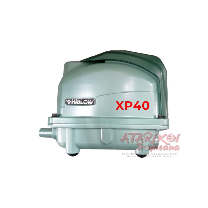 Hiblow XP 40 - XP 80 (Air Pump) - Made in Japan | Shopee Malaysia