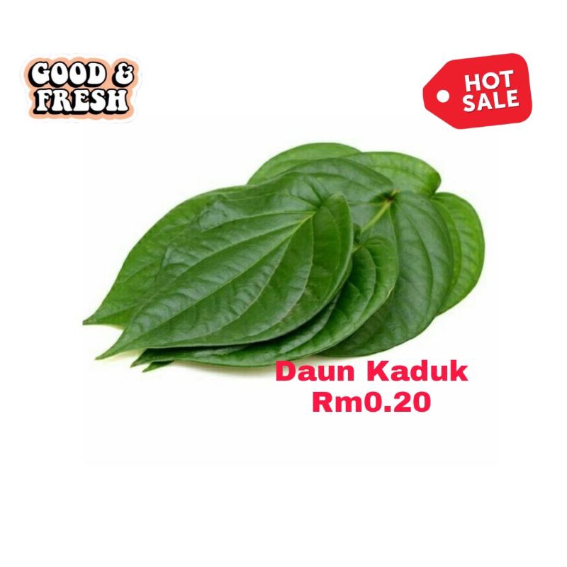 ULAM DAUN KADUK SEGAR | Shopee Malaysia