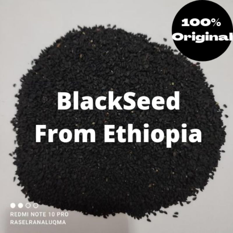 BIJAN HITAM / BIJI HABBATUS SAUDA / BLACK SEED ORIGINAL From Etheopia ...