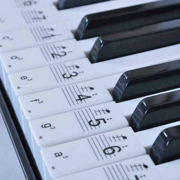 Transparent 54/61 Key Electronic Keyboard Sticker | Shopee Malaysia