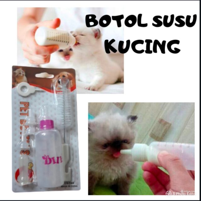 🎀BEST SELLER🎀🐯BOTOL SUSU BABY KUCING 🐯 | Shopee Malaysia