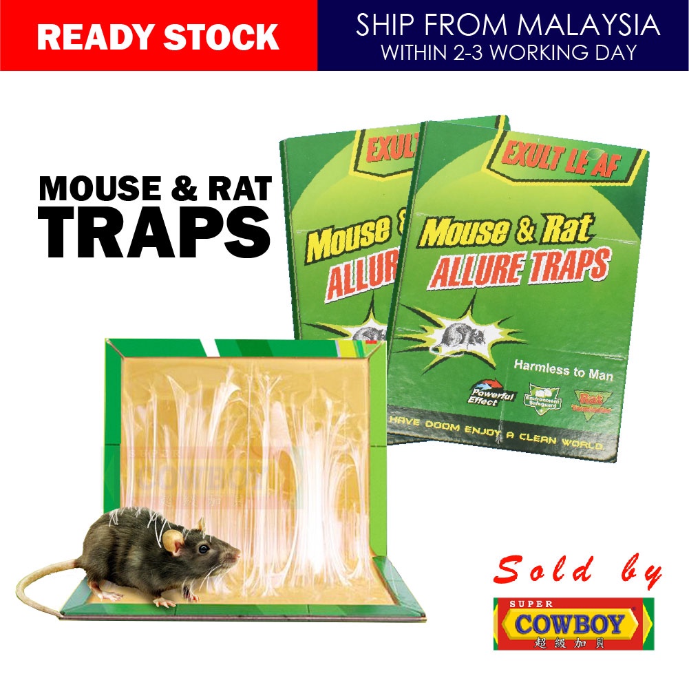 Mouse & Rat Sticky Glue Trap Boards for Pest Control / Perangkap Tikus ...