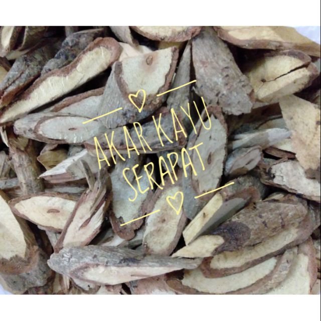 KAYU SERAPAT/ PARAM ERIA POLYNEURA 50GM | Shopee Malaysia
