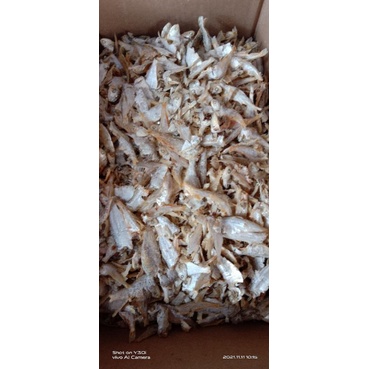 Boiled Salted Fish Trash Can | Shopee Malaysia