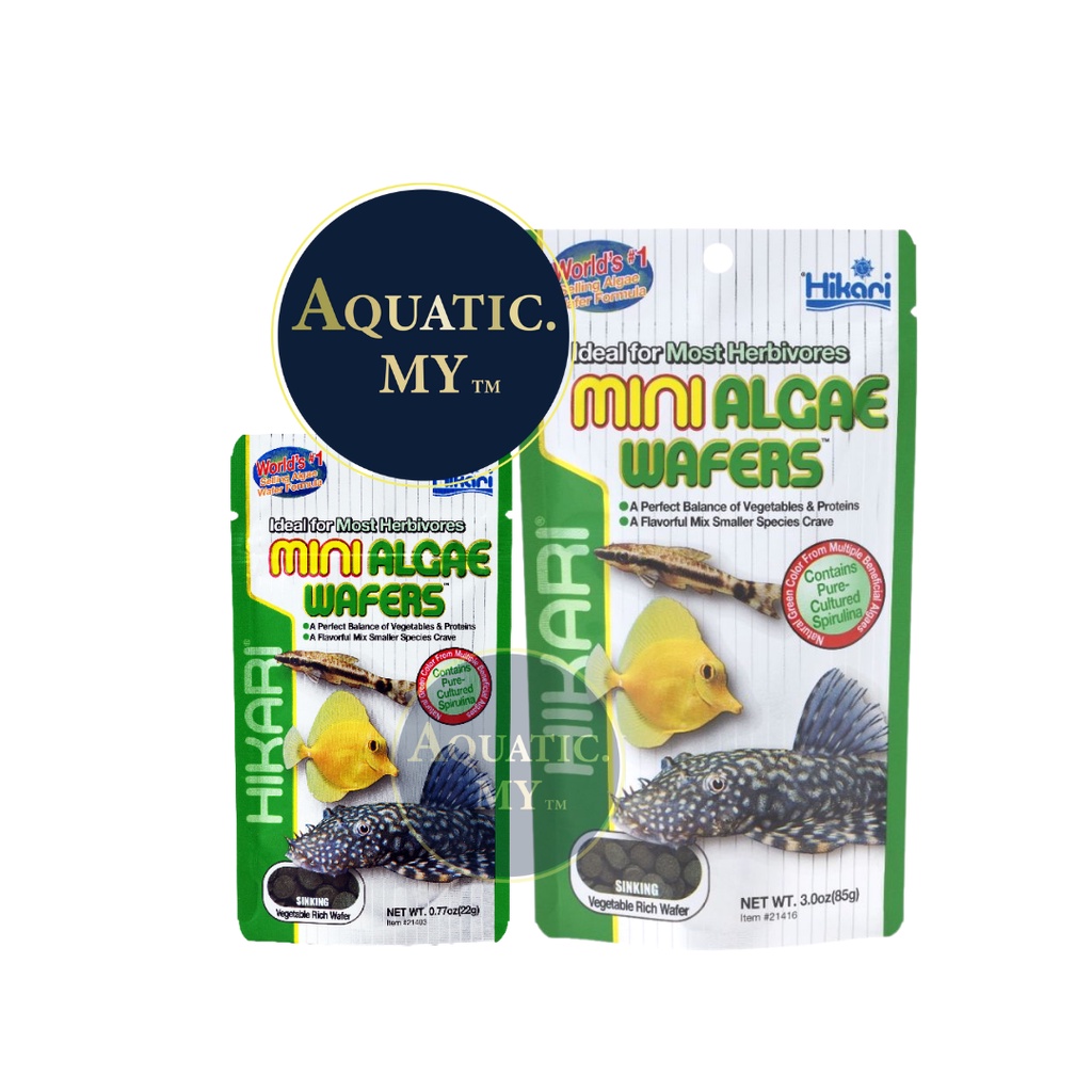 Hikari Mini Algae Wafers (22g/85g) for Bottom Feeding Herbivorous Fish ...