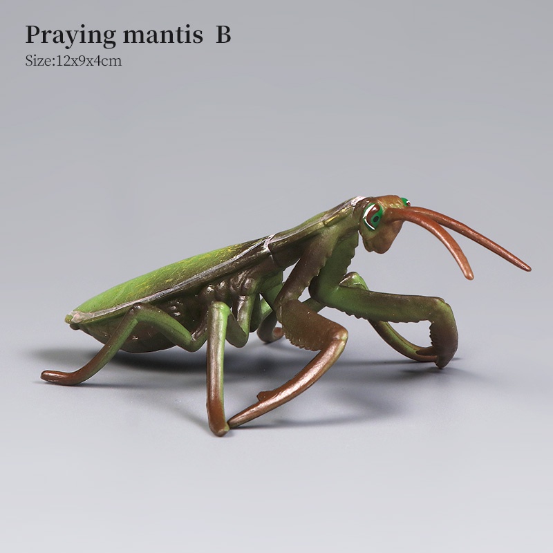 Simulated Insect Model Animal Praying Mantis Insect Toys Action Figures ...