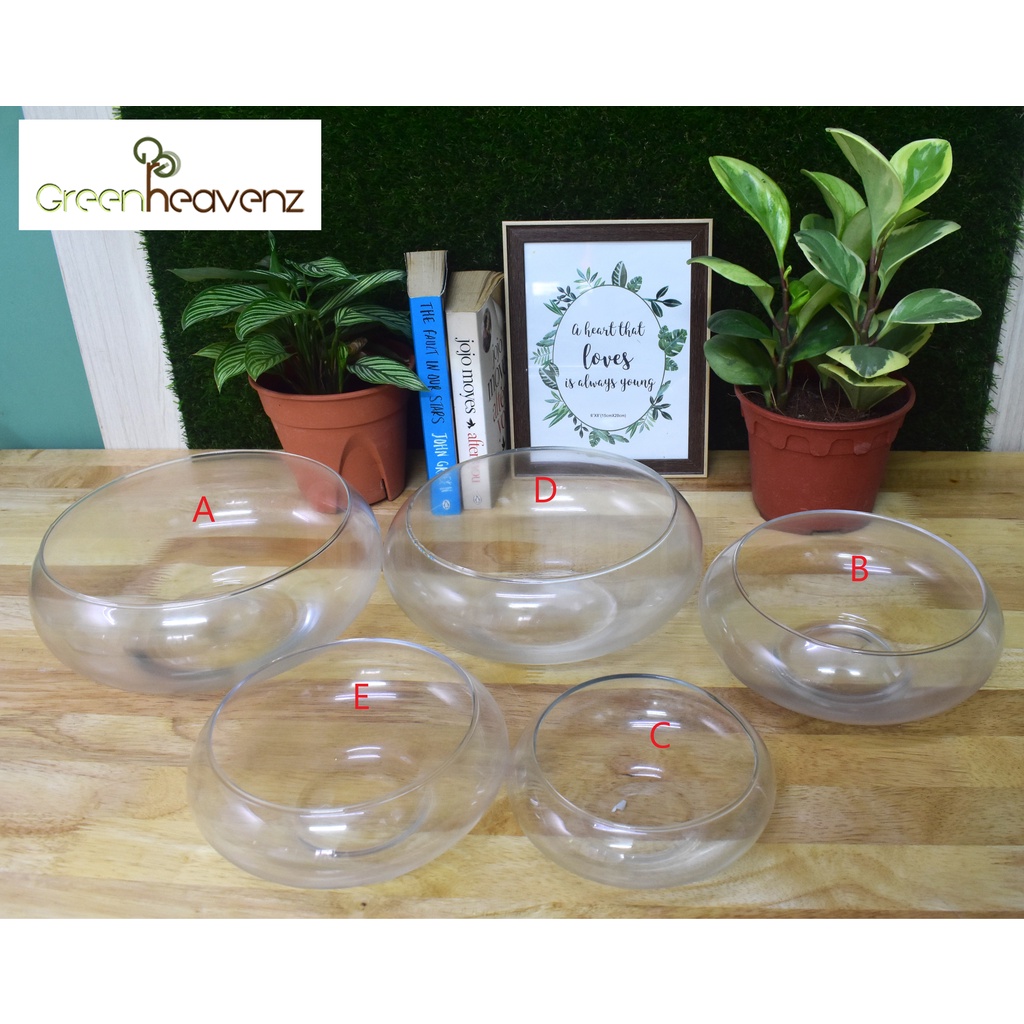 Round Transparent Glass Pot Pasu Kaca Bentuk Bulat 圆形玻璃盆 | Shopee Malaysia