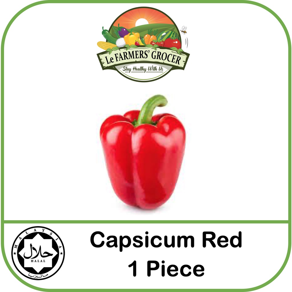 Cili Epal Merah Cameron Red Capsicum 红灯笼椒 150g-250g Fresh Pick Veg ...