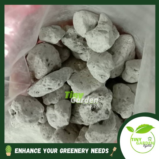 Pumice Stone for cactus succulents 浮石 200g | Shopee Malaysia
