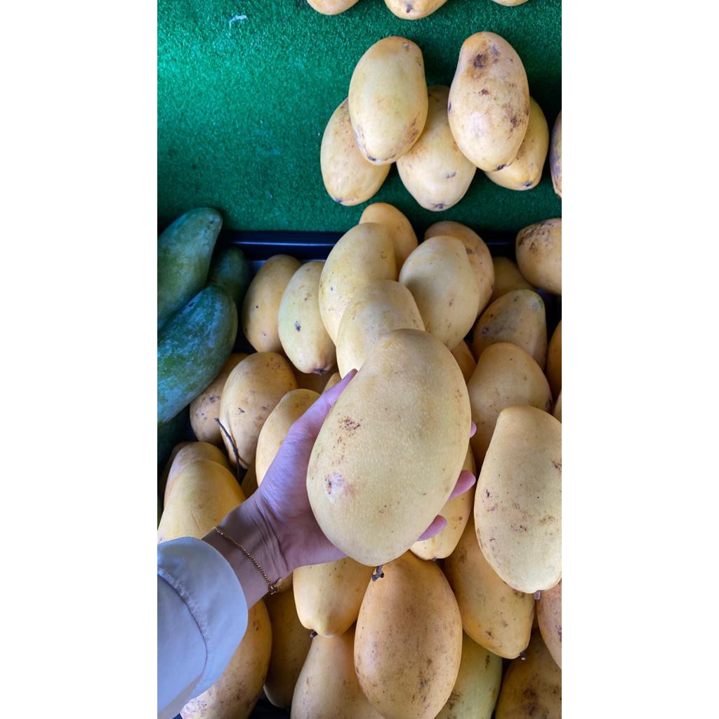 Mangga Mas Hitam Pama / Mangga Susu | Shopee Malaysia