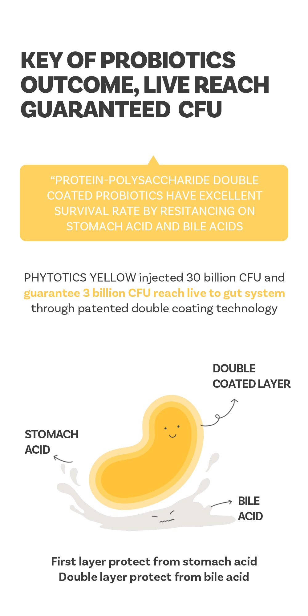 Phytotics Yellow, Probiotics + Zinc, For Women Vaginal Health And ...