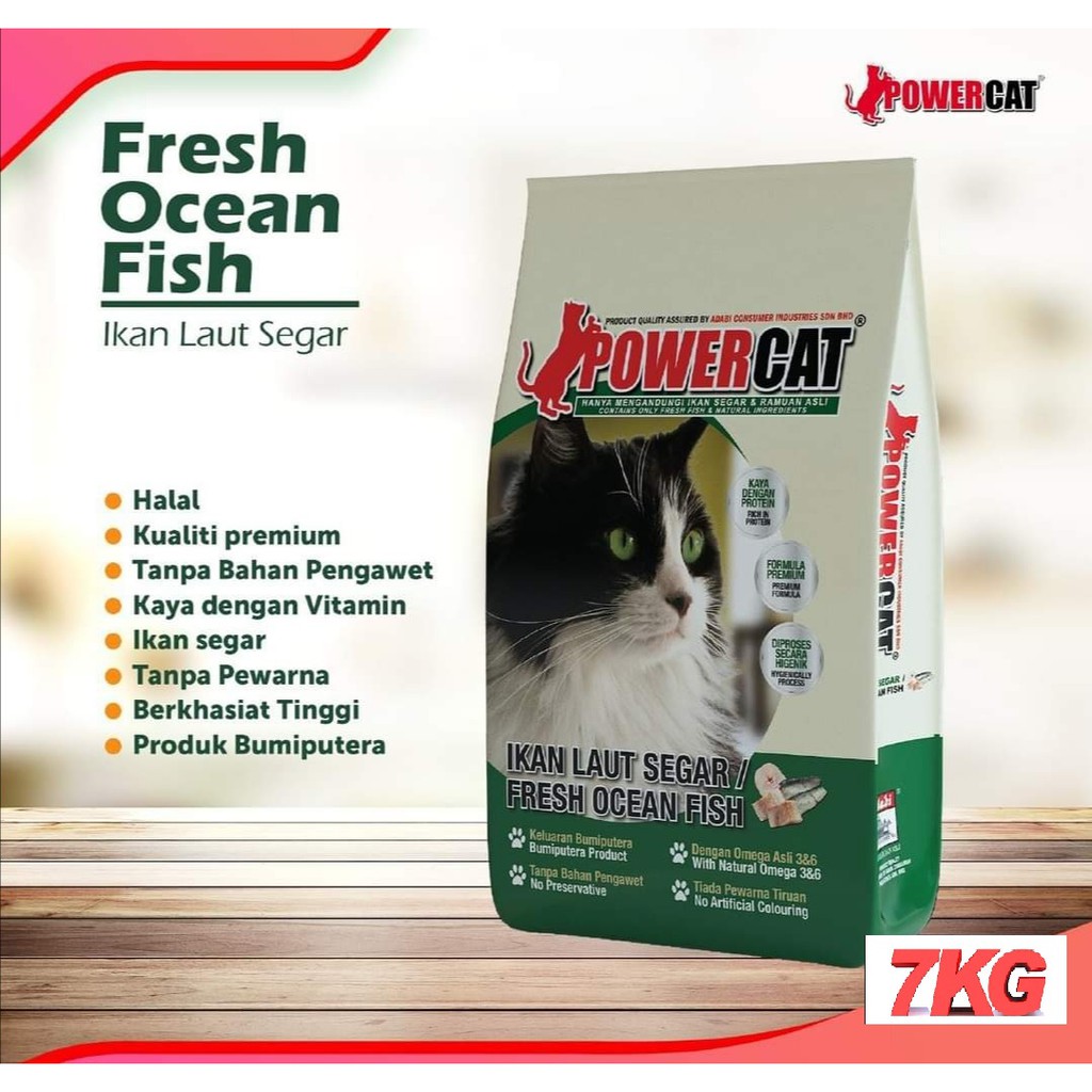 Powercat Ocean fish 6.5kg | Shopee Malaysia