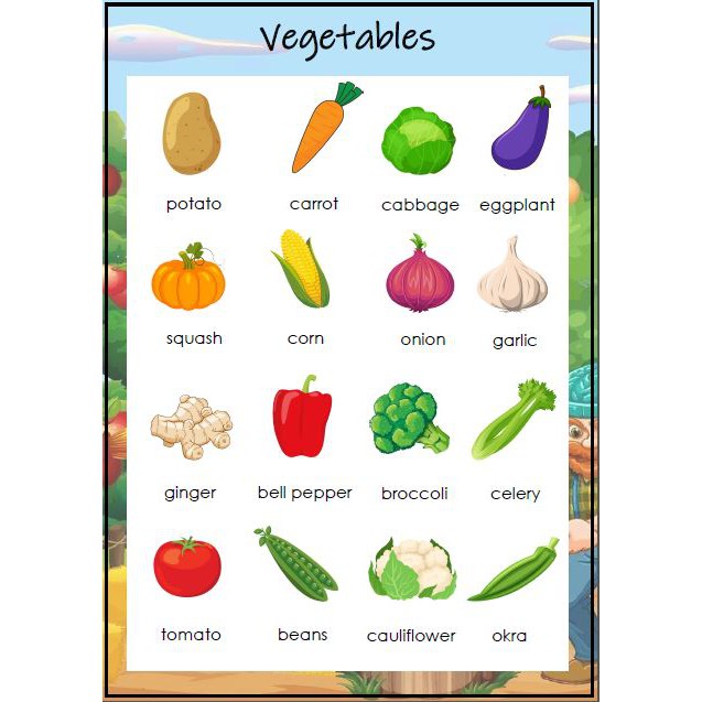 A4 Laminated Reusable Educational Vegetables Chart for Kids | Shopee ...