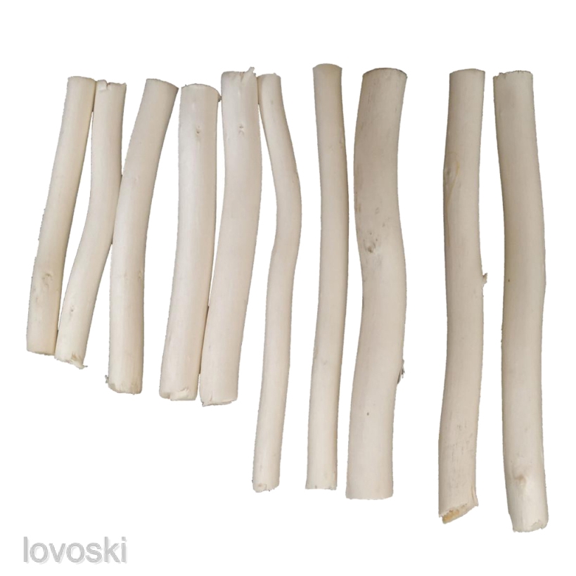 [lovoskiMY] 20-Pack Wooden Sticks Natural Tree Branch Wood Pieces for ...