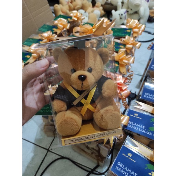 Custom Graduation Doll in Mica/Custom Sling + Campus Logo/Graduation ...