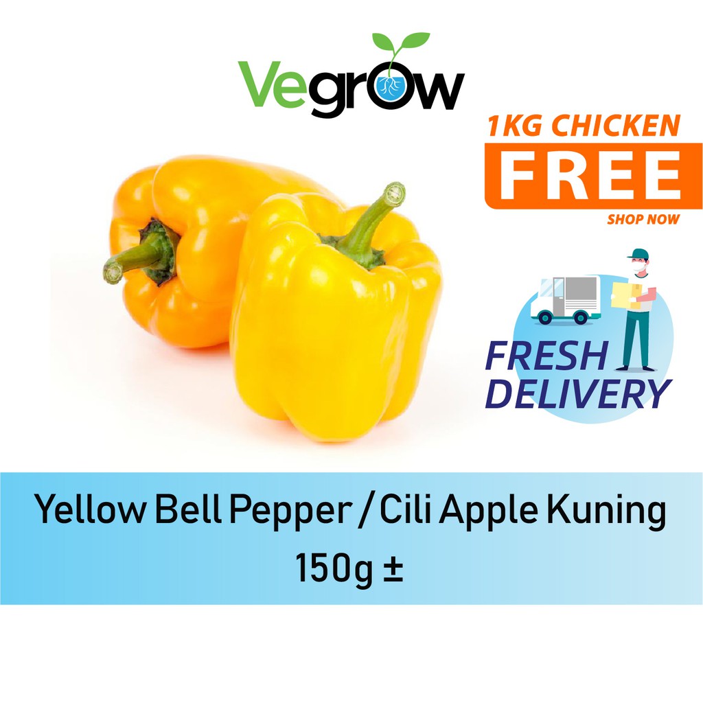 🔥FRESH 🔥Yellow Bell Pepper / Cili Apple Kuning 150g +- | Shopee Malaysia
