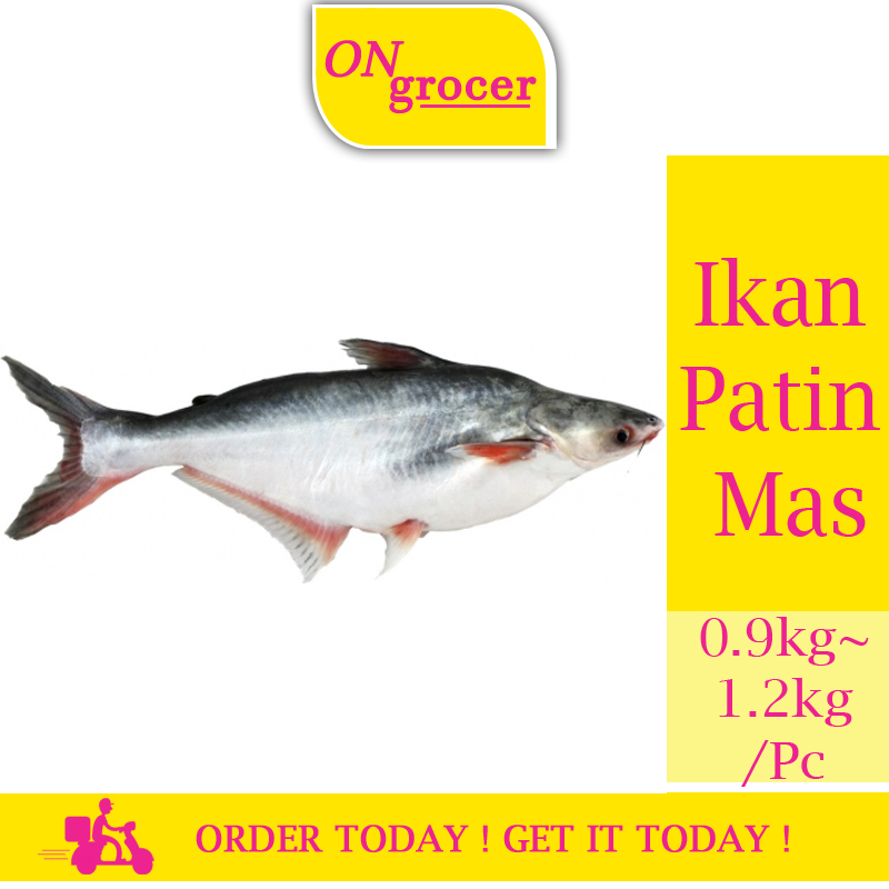 A0552 - Ikan Patin Mas - 0.9kg~1.2kg/Pc | Shopee Malaysia