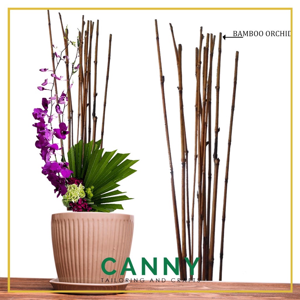 20 pcs Bamboo Shoot for Flower Arrrangement or Decoration 75cm ...