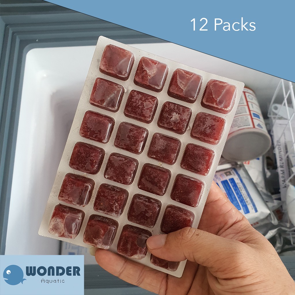 Fresh Frozen Bloodworm (12 pack ) | Shopee Malaysia