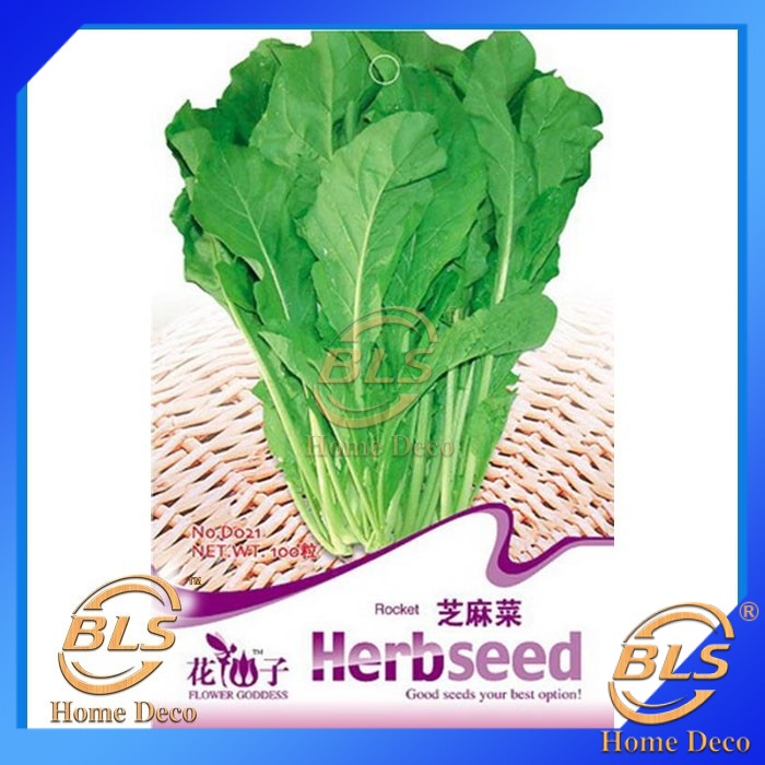 【EXPIRED】D021 ROCKET FLOWER GODDESS VEGETABLE FLOWER FRUIT HERB SEED ...