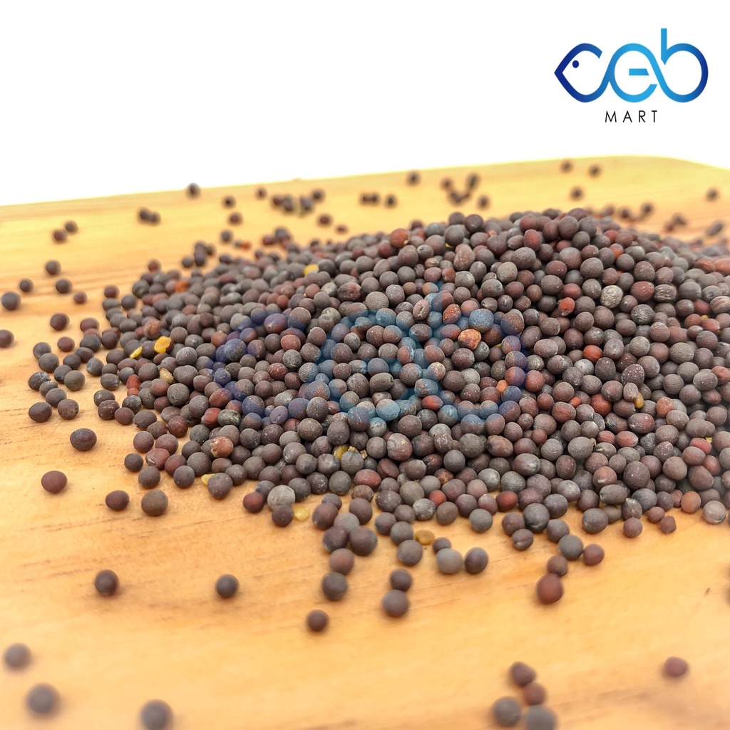 Mustard Seeds (Biji Sawi) 芥菜籽 100g/500g | Shopee Malaysia