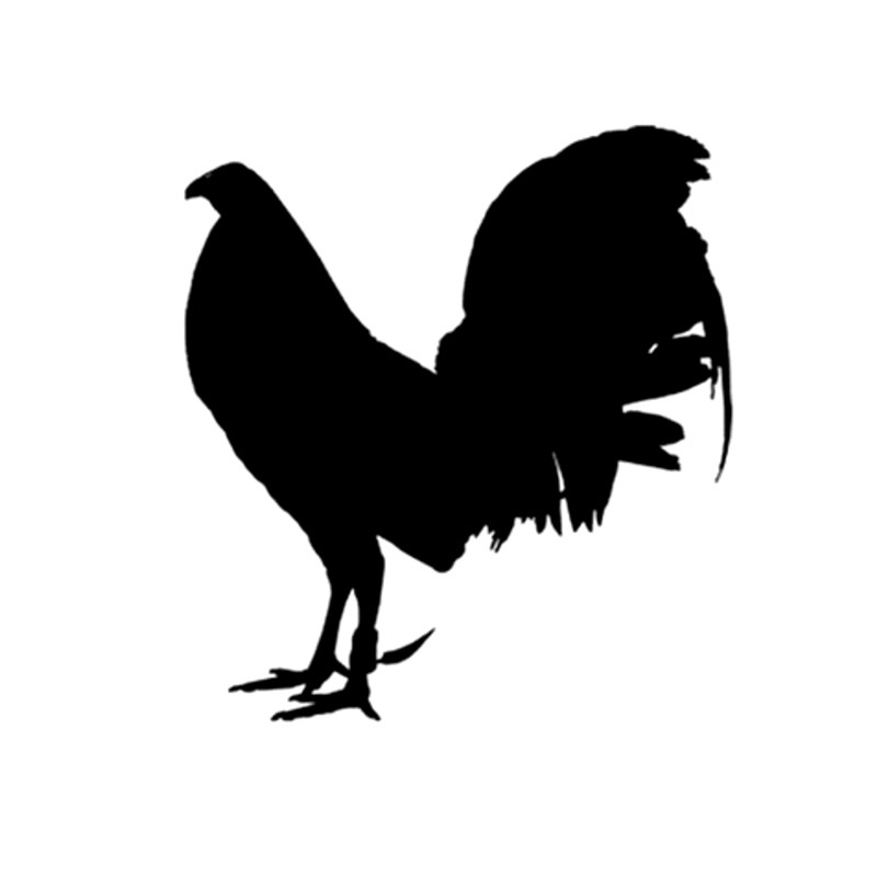 13.2CM*14.5CM Funny Animal Gamefowl Rooster Vinyl Car Sticker Decor ...