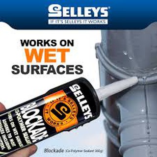 SELLEYS Silicone Blockade Co-Polymer Sealant Grey - 360g | Shopee Malaysia