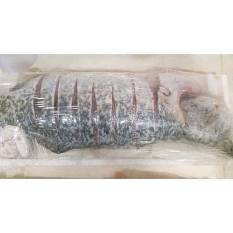 FISH - Barramundi / Siakap Fish 1pc (1kg +-) | Shopee Malaysia