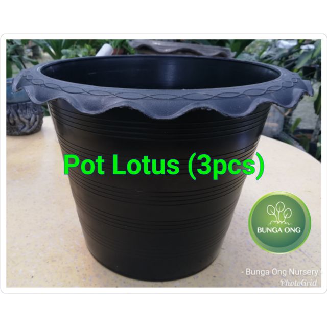 Pot Plastic Lotus water lily/ Pasu hitam teratai(3pcs) | Shopee Malaysia