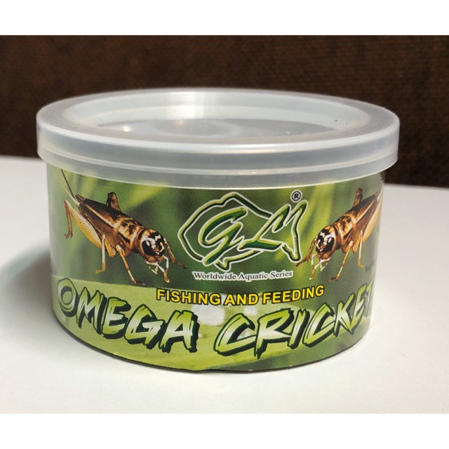 Canned Omega Crickets 35gm untuk Arowana Pancing ikan cengkerik ...