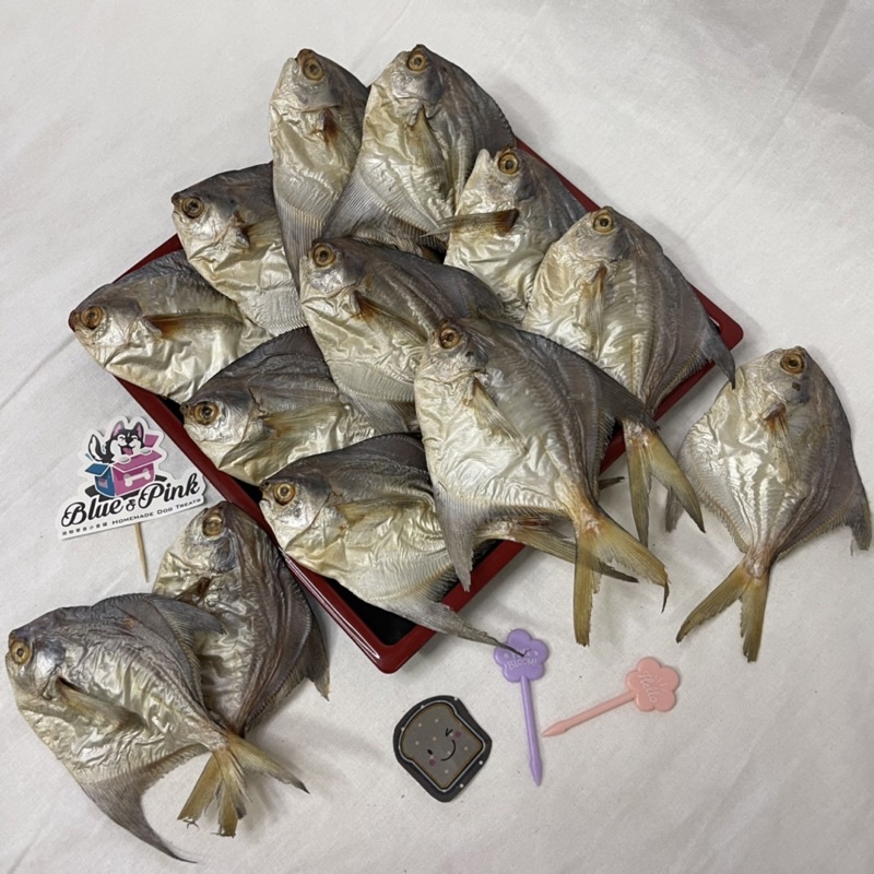Dried Mini White Pomfret 幼白昌干buy10free1Mini Pomfret 100% Natural ...