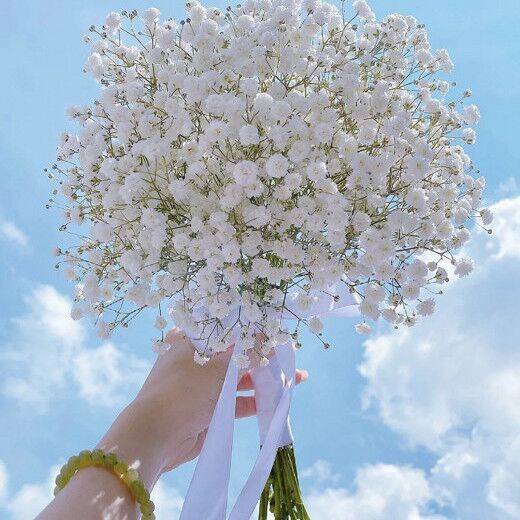 wedding bride bunga tangan pengantin flower bouquet Simple hand tulip ...