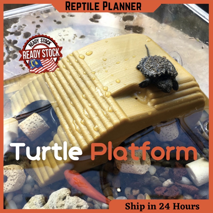 Turtle Basking Platform Reptile Pier Dock Island Decoration Frog （乌龟晒台