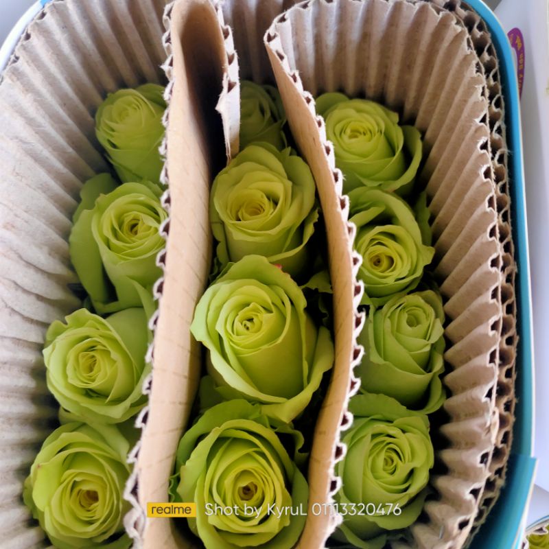 🌹Ready Stock 🌹 Roses 🌹20stalks🌹 Fresh Flower From Cameron Highlands 🌹🌹 ...