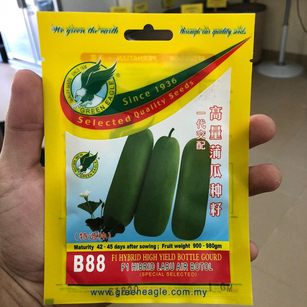 Benih Labu Air Botol/Bottle Gourd Hibrid F1 GREEN EAGLE B88 (1gm ...