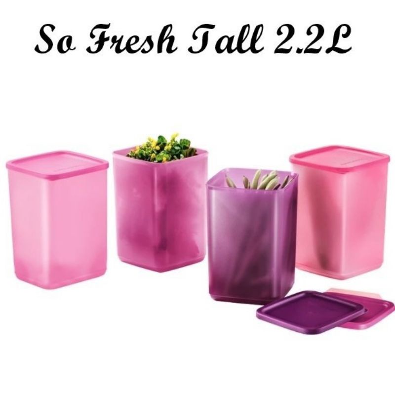 Tupperware So Fresh Tall 2.2L (4pcs) | Shopee Malaysia