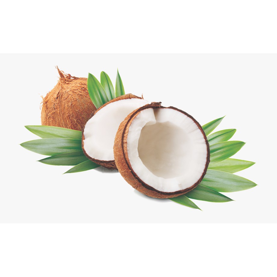 Pandan Coconut Emulco Paste 40g | Shopee Malaysia