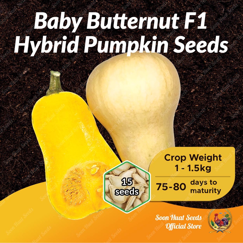 [Small Pack] 760 Benih Labu Manis Butternut Squash Soon Huat Seeds ...