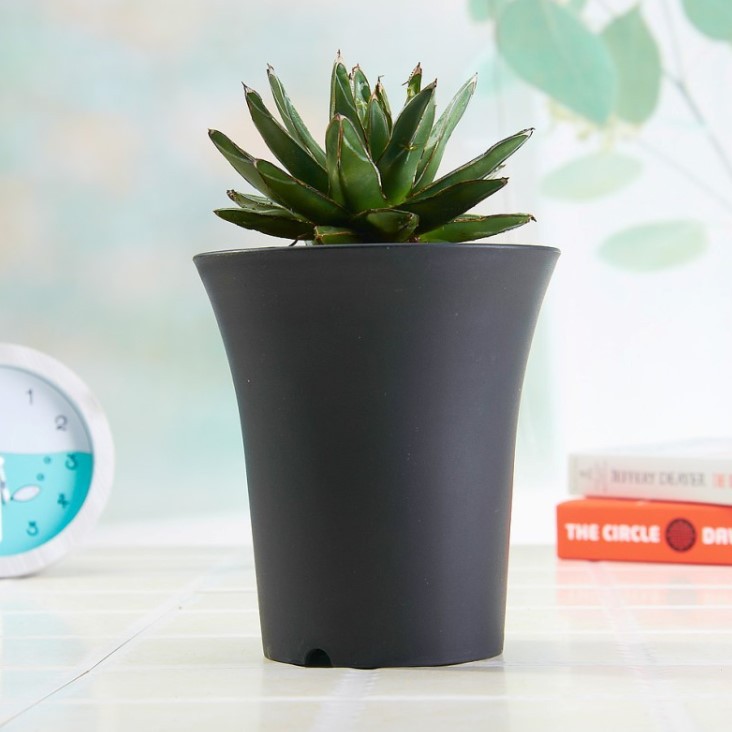 Thick Round Plastic Pots 7cm Planter Flower Pots Succulent and Cactus ...