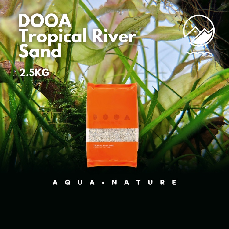 DOOA Tropical River Sand 2.5KG | Shopee Malaysia