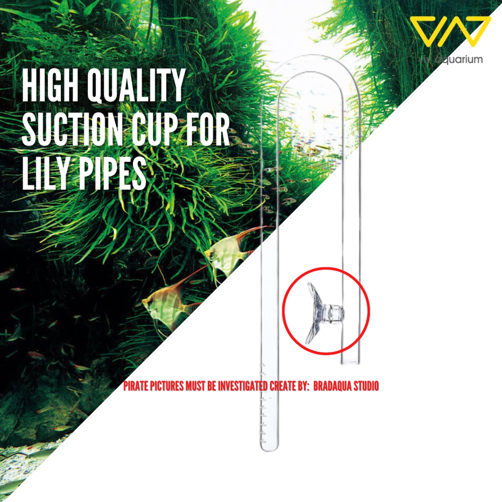 VIV High Quality Suction Cup For Lily Pipes (1Pcs) | Shopee Malaysia